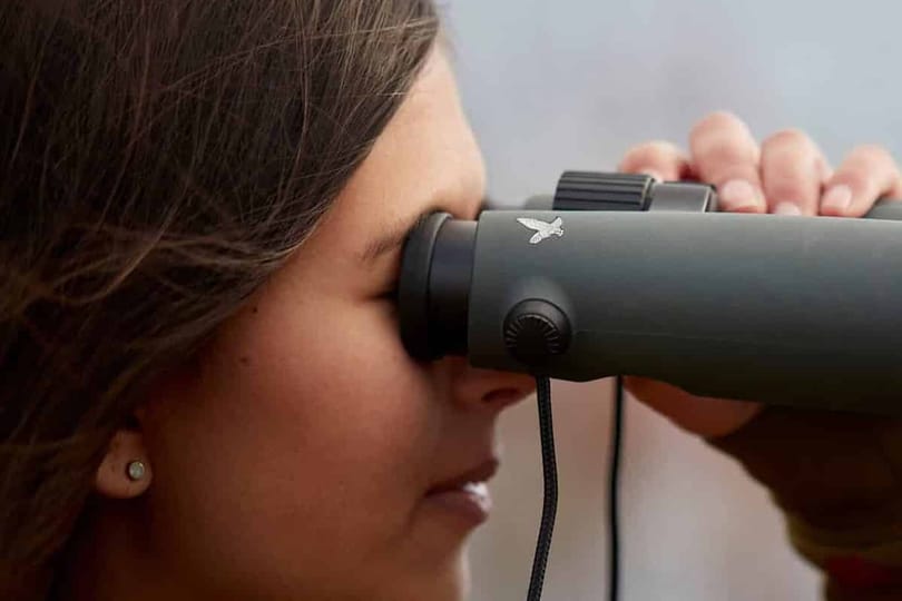 Bird Watching in the United States: Best in the World