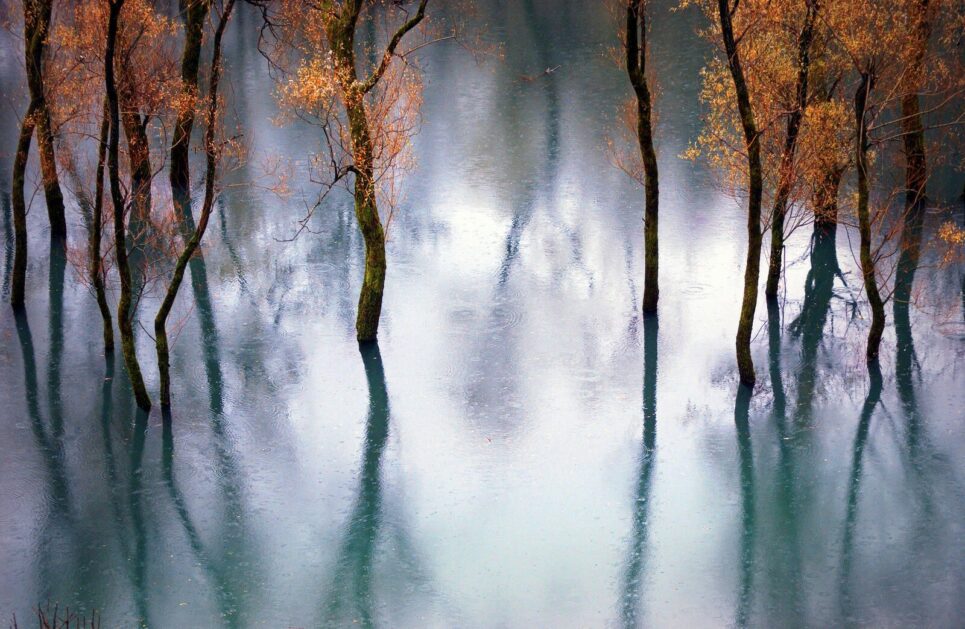 The Zeta River in Montenegro: Protected